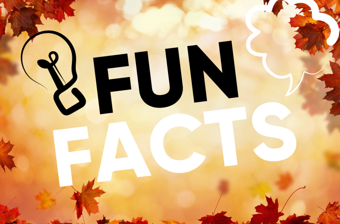 10 Fun and Fascinating Facts About Autumn for Kids | Ultimate Activity